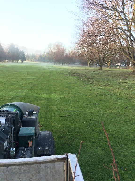 Spring Clean-up | Golf Course Management